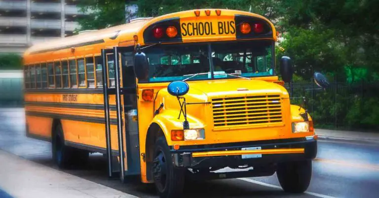 Why Are School Buses So Bumpy? - Vehicles Authority